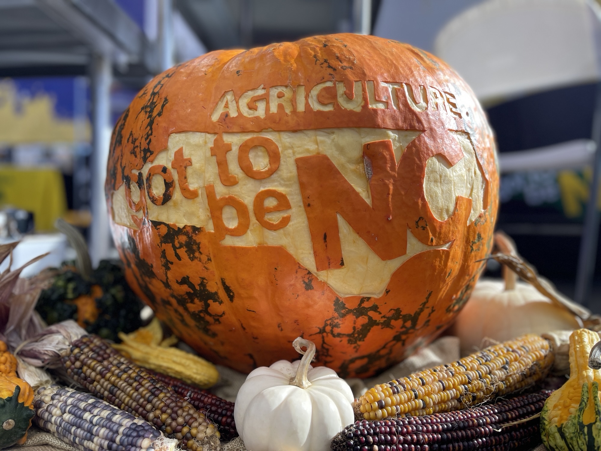 The 2025 Got To Be NC Cooking Stage at the NC State Fair • Heidi ...